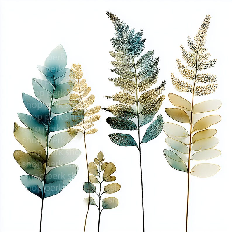 8 Watercolor Fern Clipart PNG, Botanical Foliage Leaves Clip Art ...