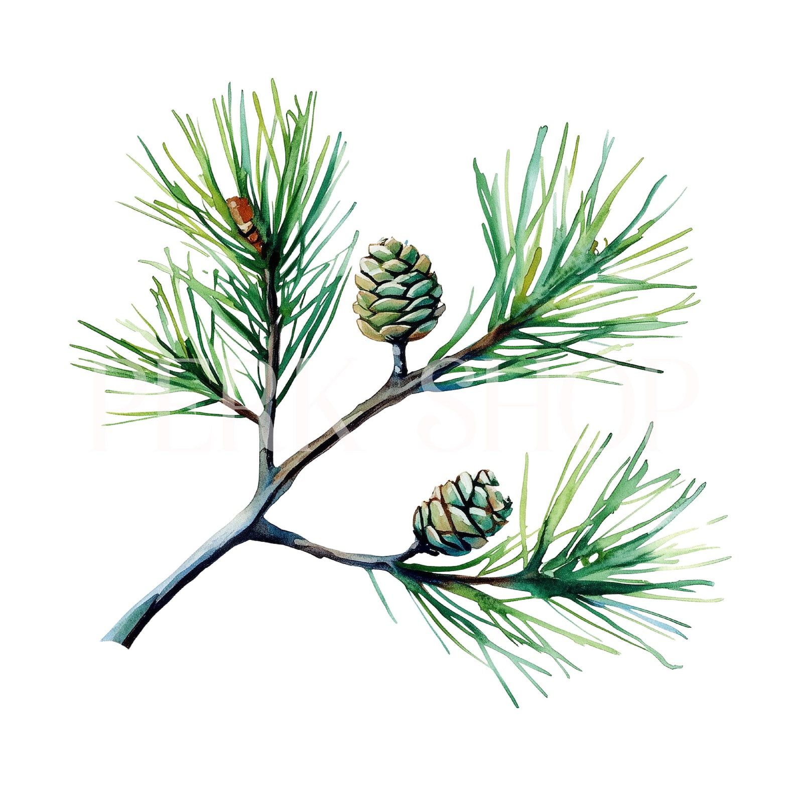 14 PNG Decorative Fir Tree Watercolor Branch Elements for Crafts ...