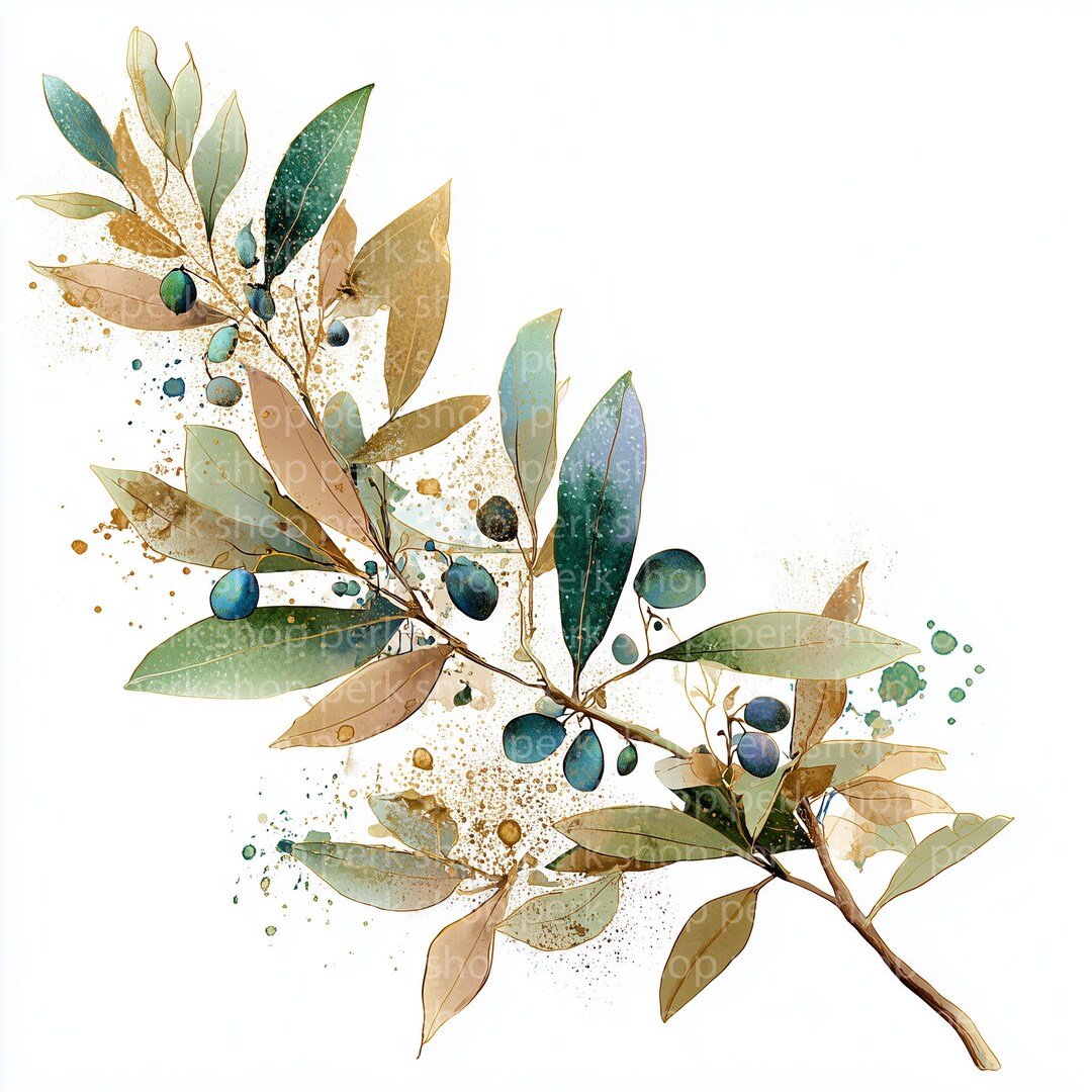 Olive Branch Clipart PNG, Watercolor Olive Illustration, Mediterranean ...