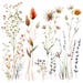 Fall Wildflower Watercolor Digital Paper Pack, Rustic Autumn Background ...