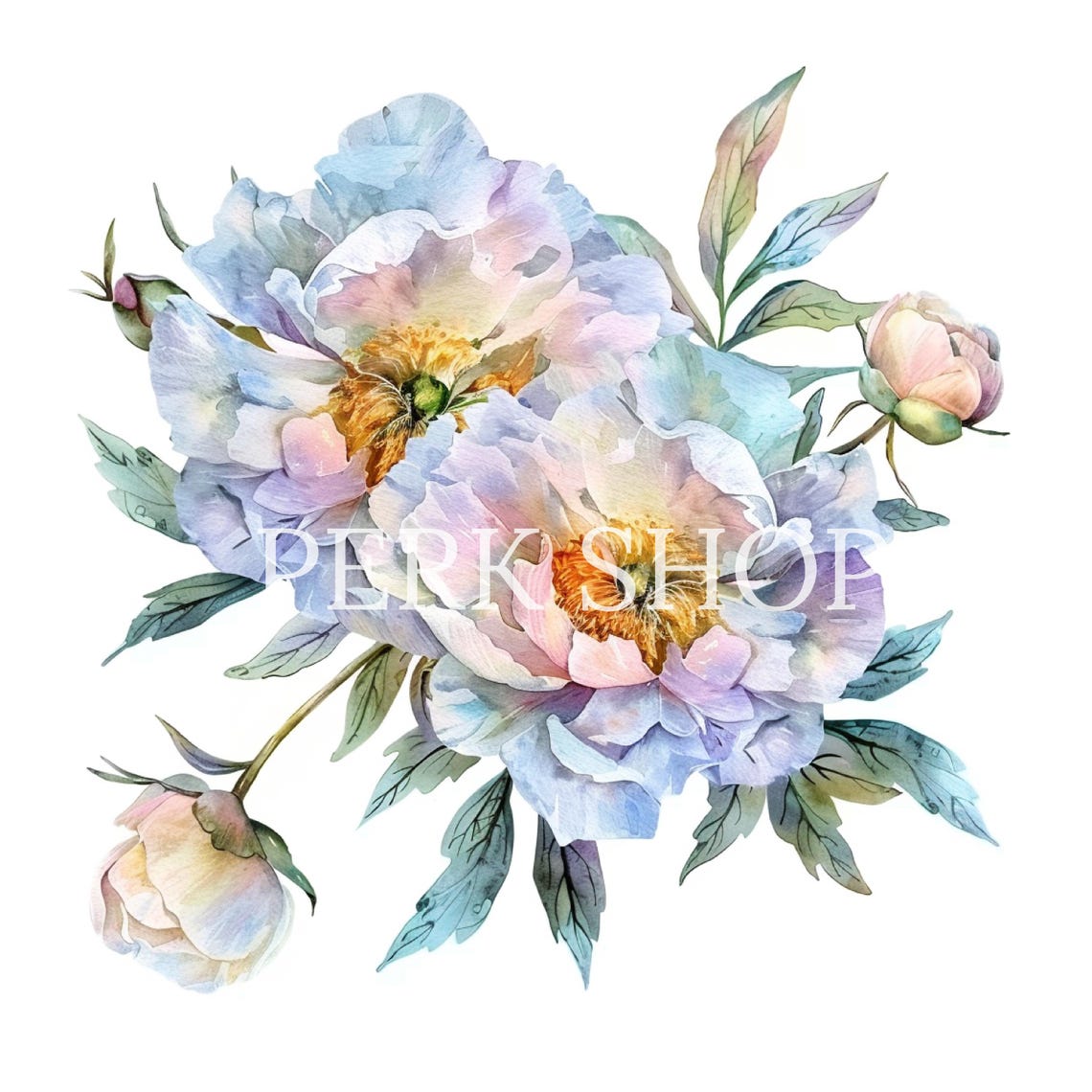 10 Watercolor Peonies Clipart, Garden Flowers Clipart, High Quality ...