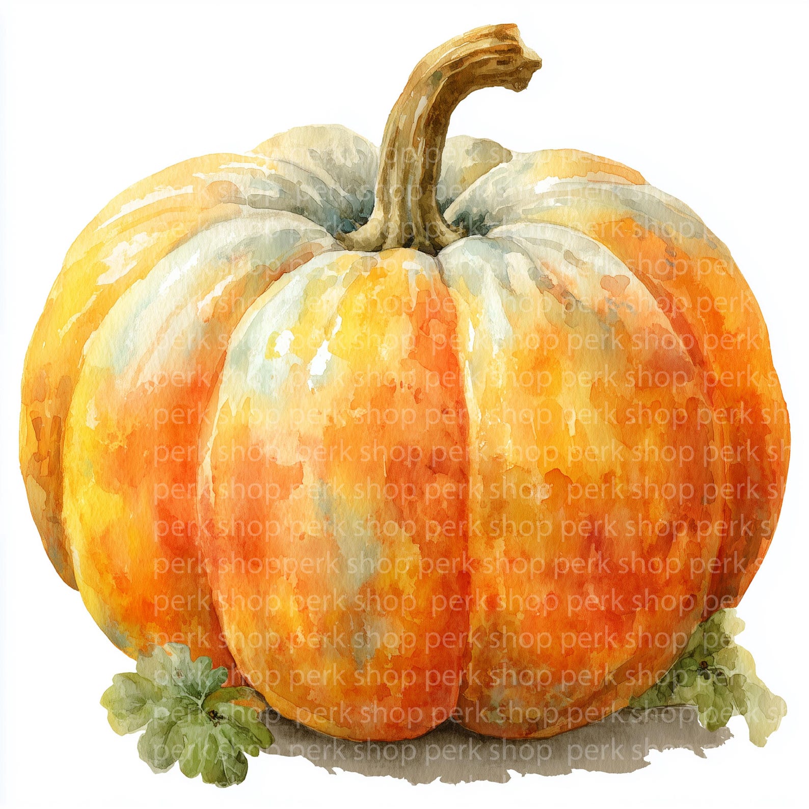Watercolor Pumpkin Clipart: Autumn Harvest Illustrations (digital ...