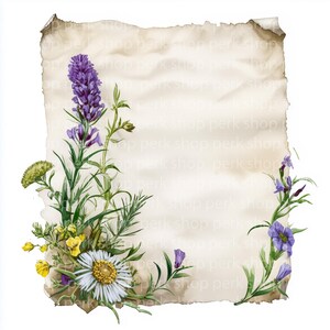 21 Floral Scroll Paper Clipart, Old Paper Flowers Clipart, High Quality ...