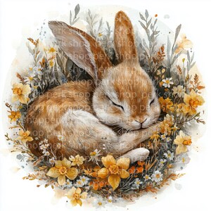 12 Floral Bunny Clipart, Spring Animal Clipart, Rabbit in Basket ...