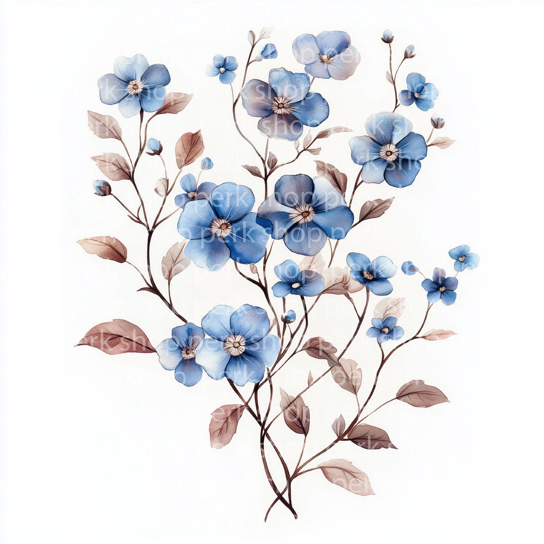 Forget Me Not Clipart: Watercolor Floral Designs (digital Download) - Etsy