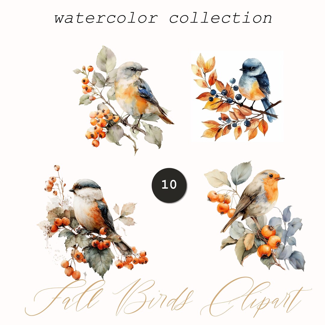 Fall Birds Watercolor Clipart: Autumn Animal PNG Illustrations (digital ...