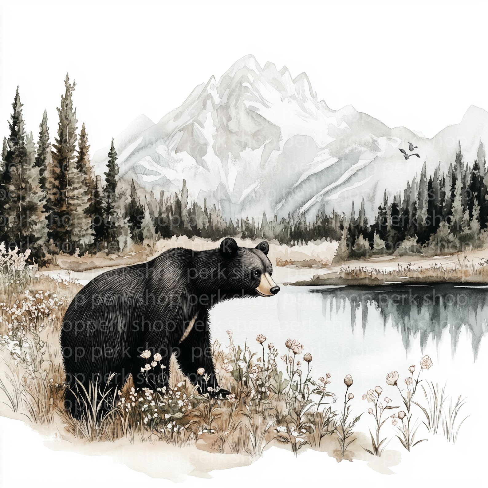12 Black Bear Clipart, Bear Forest Clipart, Wild Animal Watercolor ...