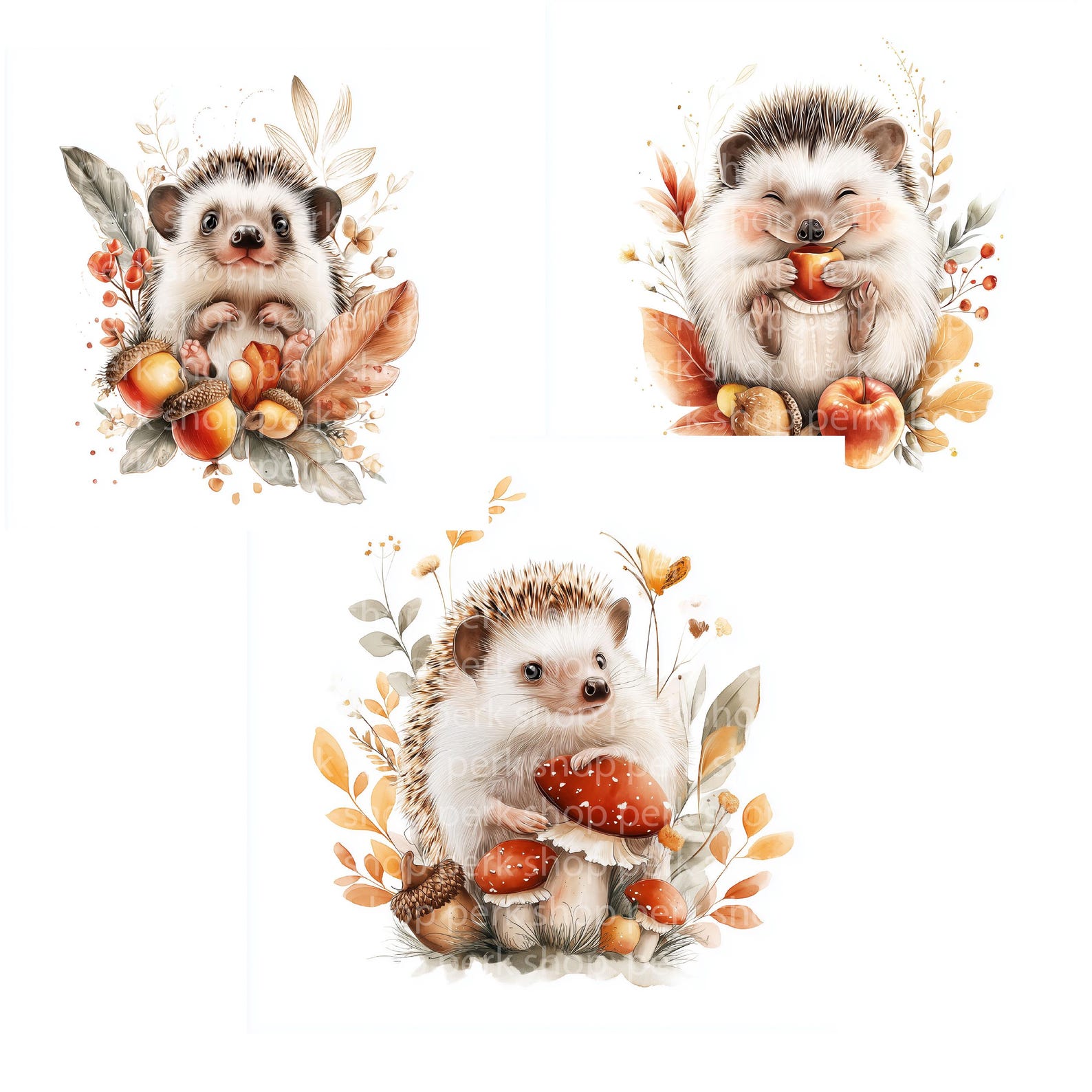 Fall Hedgehogs Clipart, Autumn Watercolor Animals, Cute Woodland ...