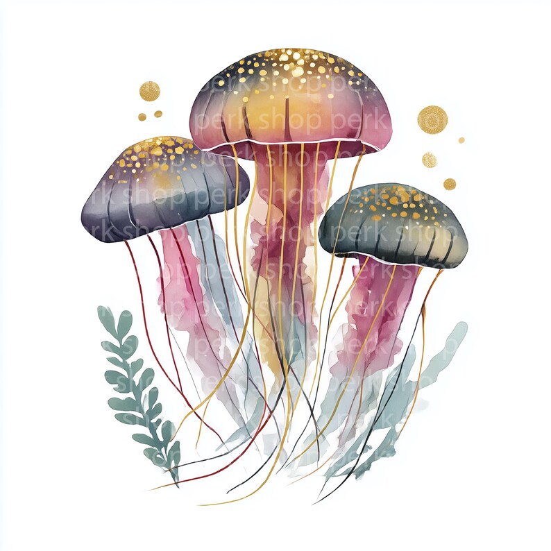 Jellyfish Watercolor Clipart Bundle: Boho Ocean Art, Sea Life JPG - Etsy