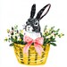 Easter Bunny Clipart, Spring Rabbit With Basket Flowers, Scrapbooking ...