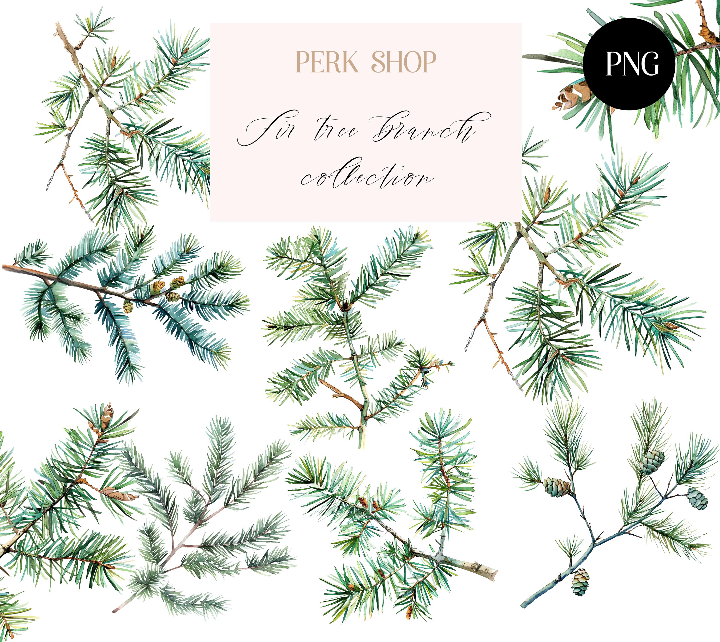 14 PNG Decorative Fir Tree Watercolor Branch Elements for Crafts ...