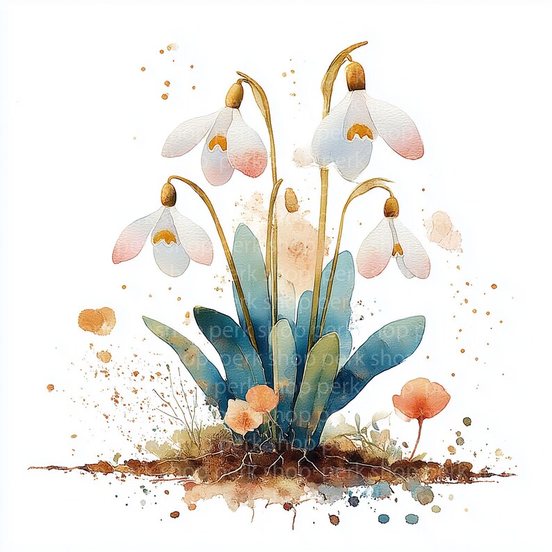 Snowdrop Clipart: Spring Flowers Bouquet Watercolor Printable Set ...