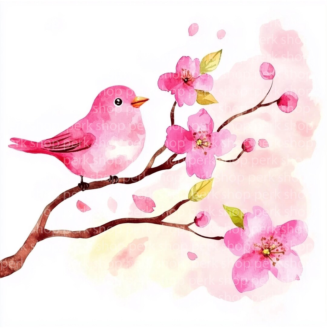 Bird on Cherry Blossom Branch Watercolor Clipart (digital Download) - Etsy