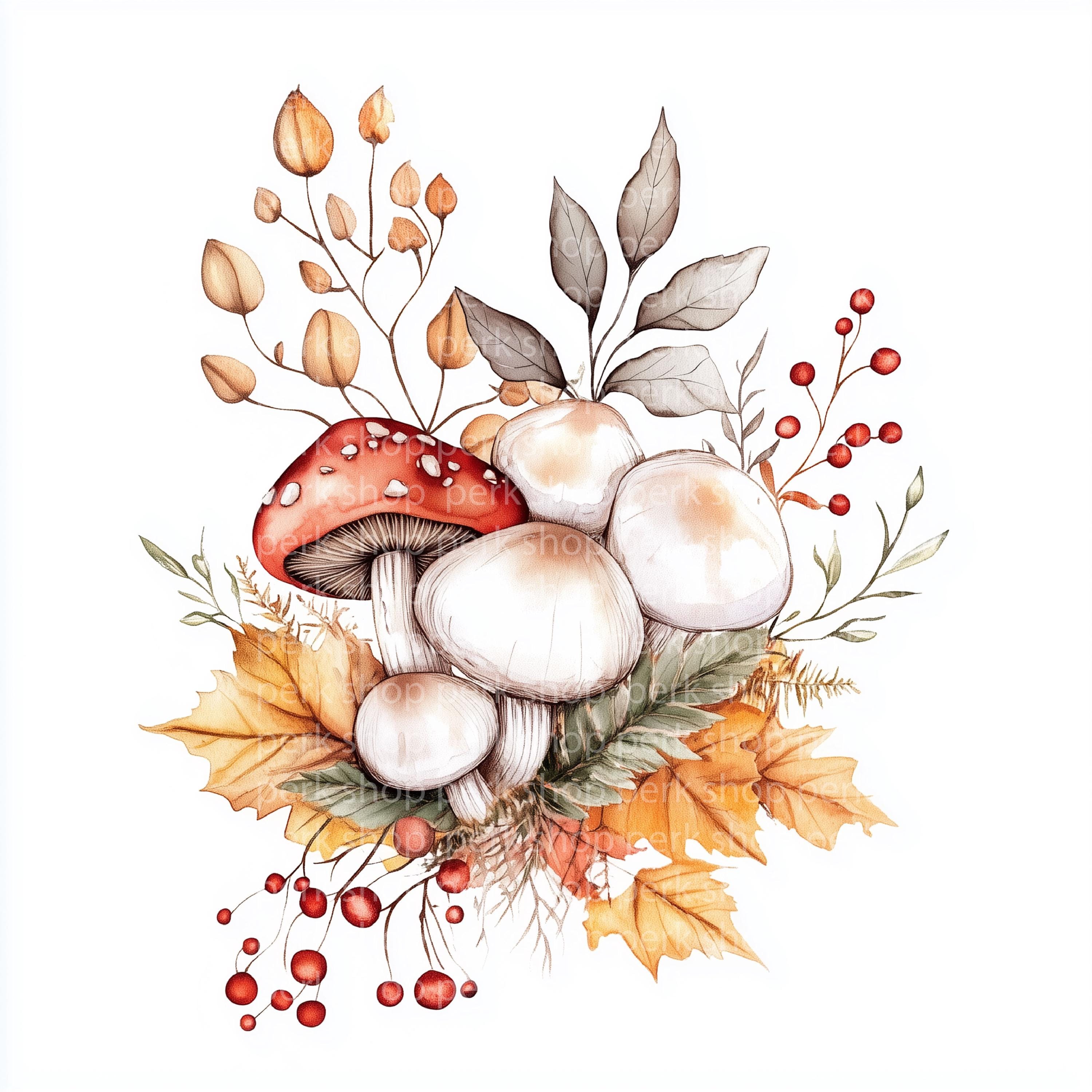 Watercolor Mushroom Clipart: Autumn Forest Botanical Illustrations ...
