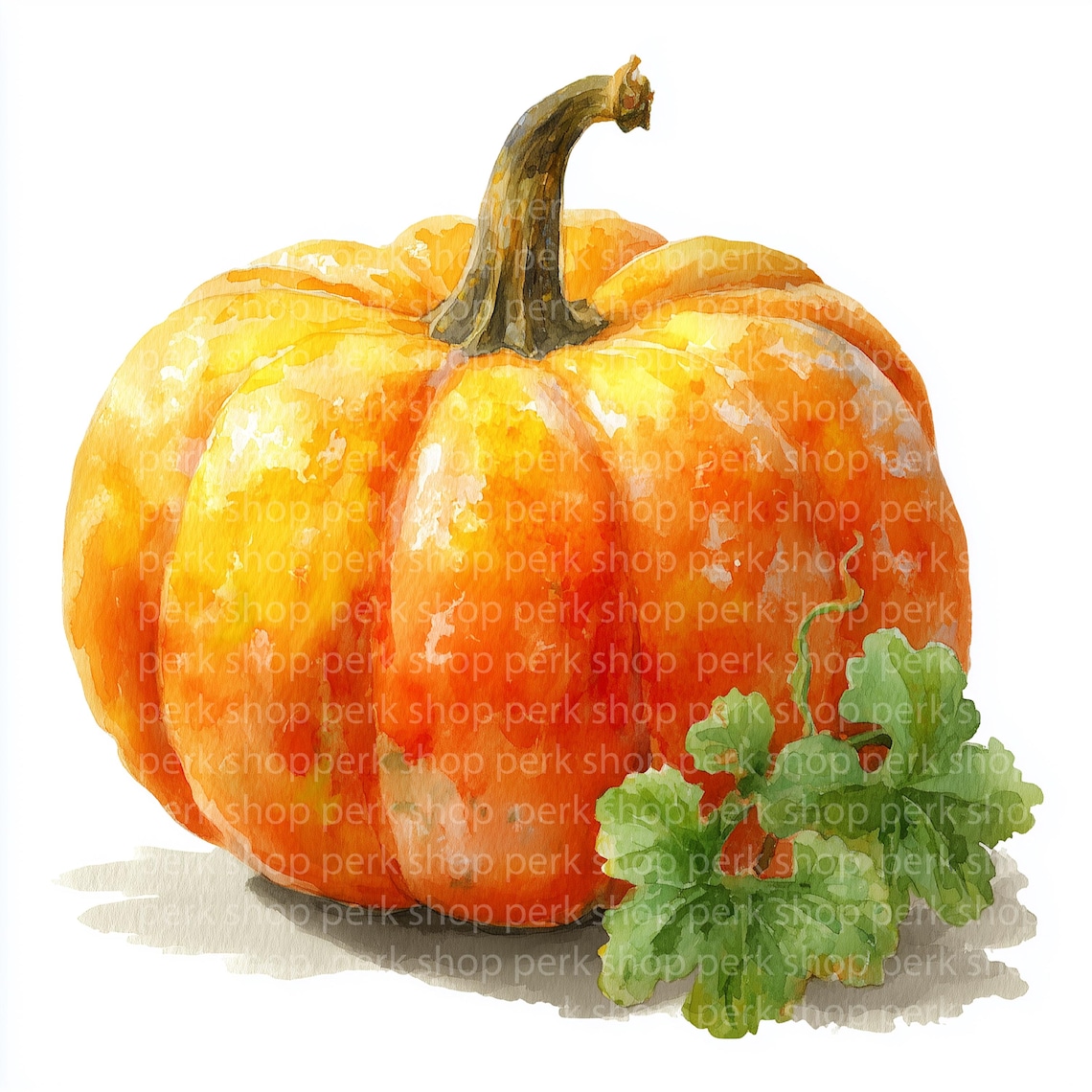 Watercolor Pumpkin Clipart: Autumn Harvest Illustrations (digital ...