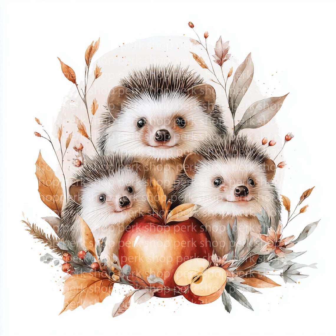 Fall Hedgehogs Clipart, Autumn Watercolor Animals, Cute Woodland ...
