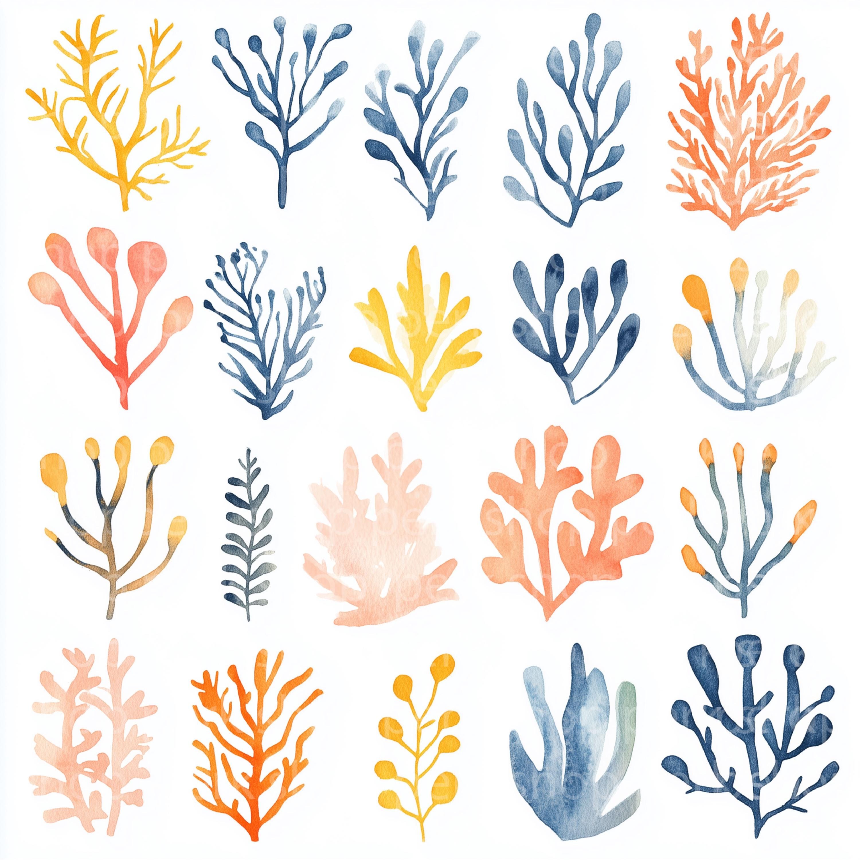 11 Watercolor Seaweed Clipart, Coastal Backgrounds, Botanical Bright ...