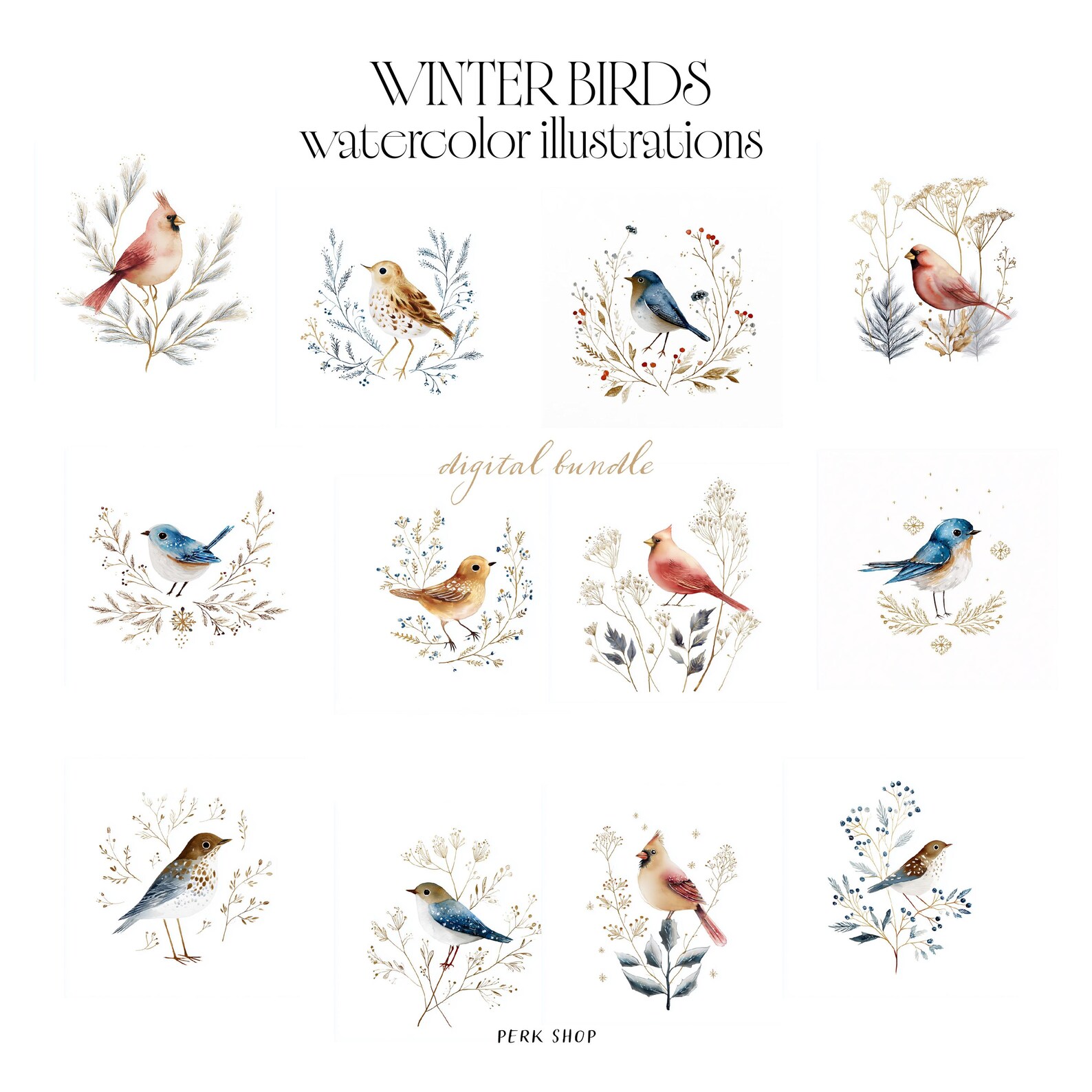 Winter Birds Watercolor Clipart | Christmas Bird Illustrations Bundle ...