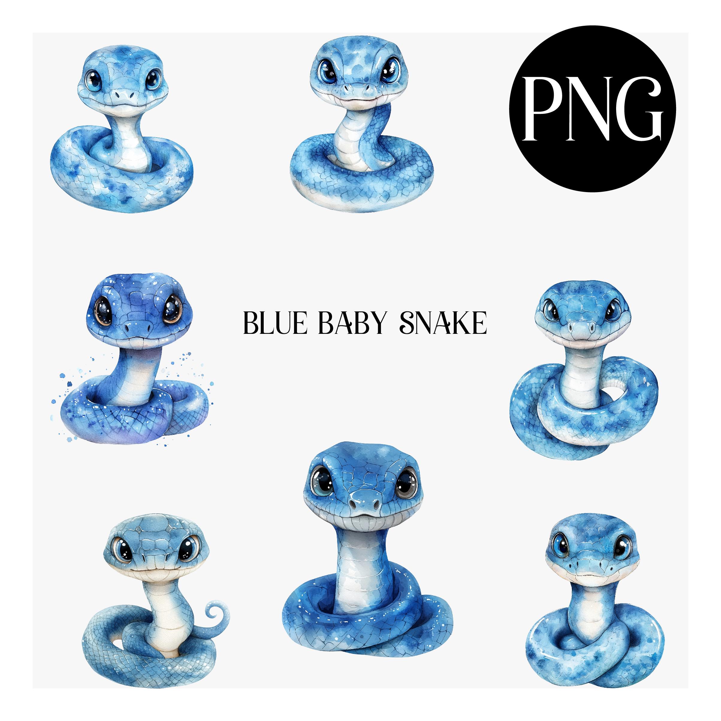 7 Baby Blue Snake PNG Images Bundle - Digital Download, Printable ...