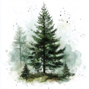 Watercolor Christmas Trees Clipart: Winter Forest Landscape (digital ...