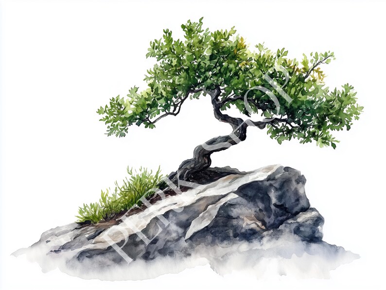 9 Bonsai Tree Watercolor Digital Clipart, Japanese Nature Inspired ...