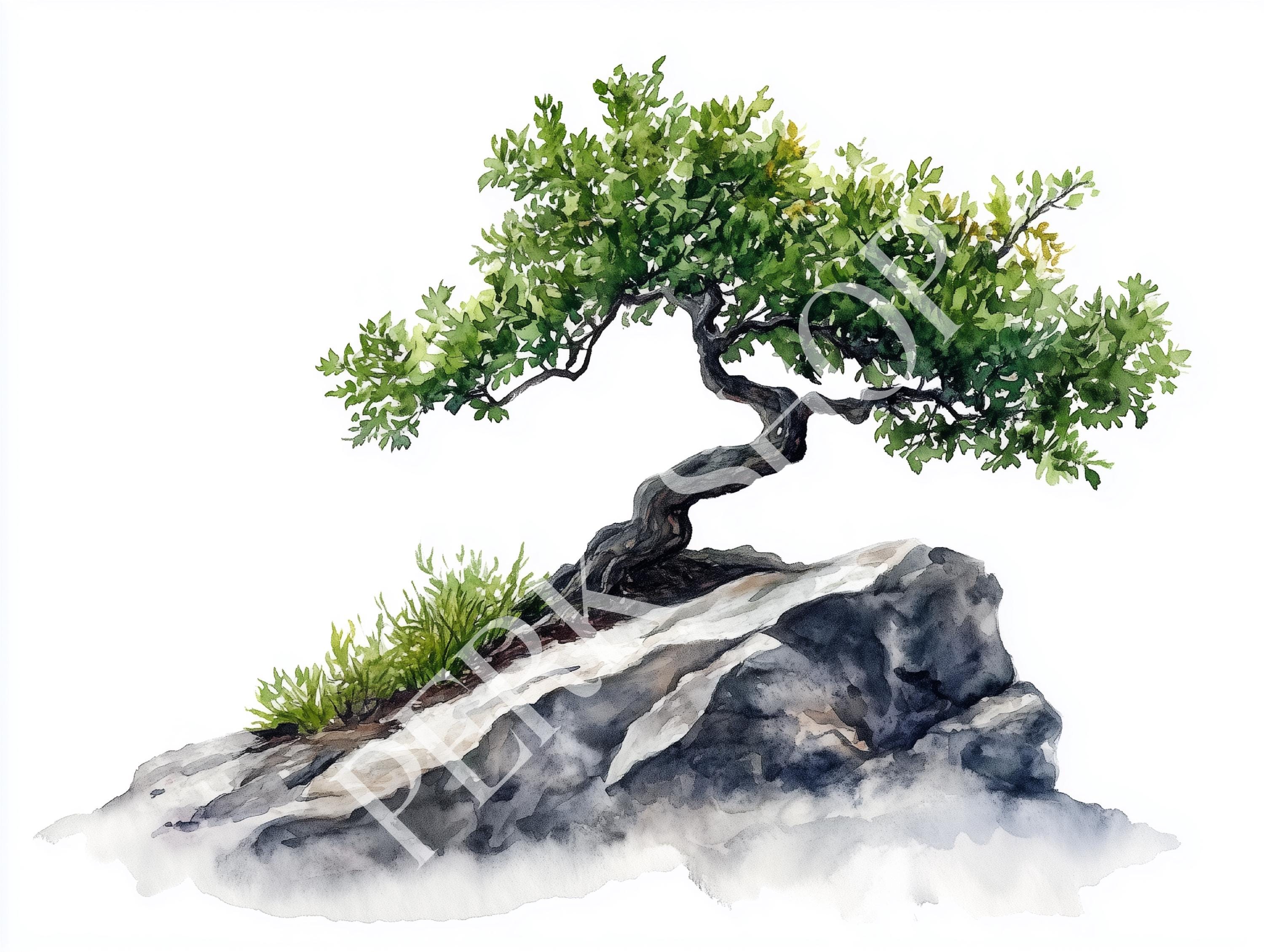 9 Bonsai Tree Watercolor Digital Clipart, Japanese Nature Inspired ...