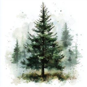Watercolor Christmas Trees Clipart: Winter Forest Landscape (digital ...