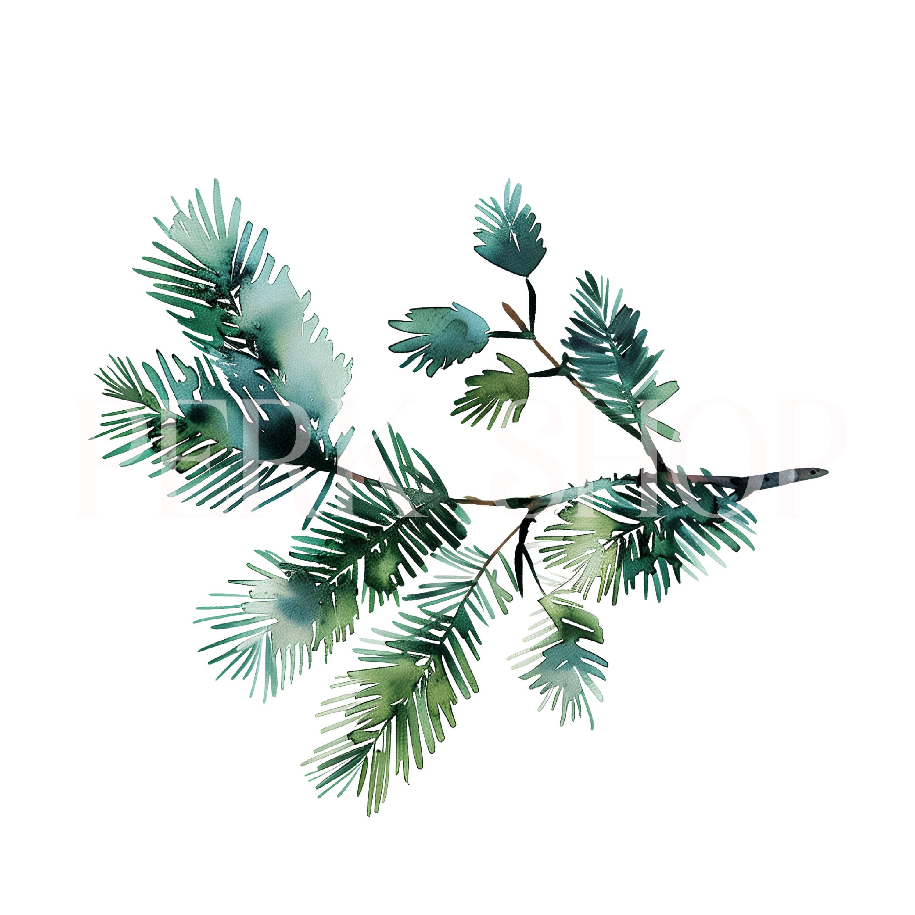 14 PNG Decorative Fir Tree Watercolor Branch Elements for Crafts ...