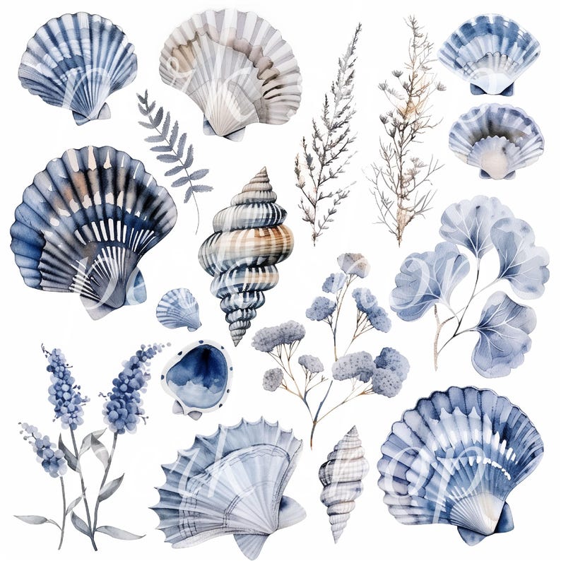 10 Sea Shells Clipart, Coastal Botanicals Printable Watercolor Clipart ...