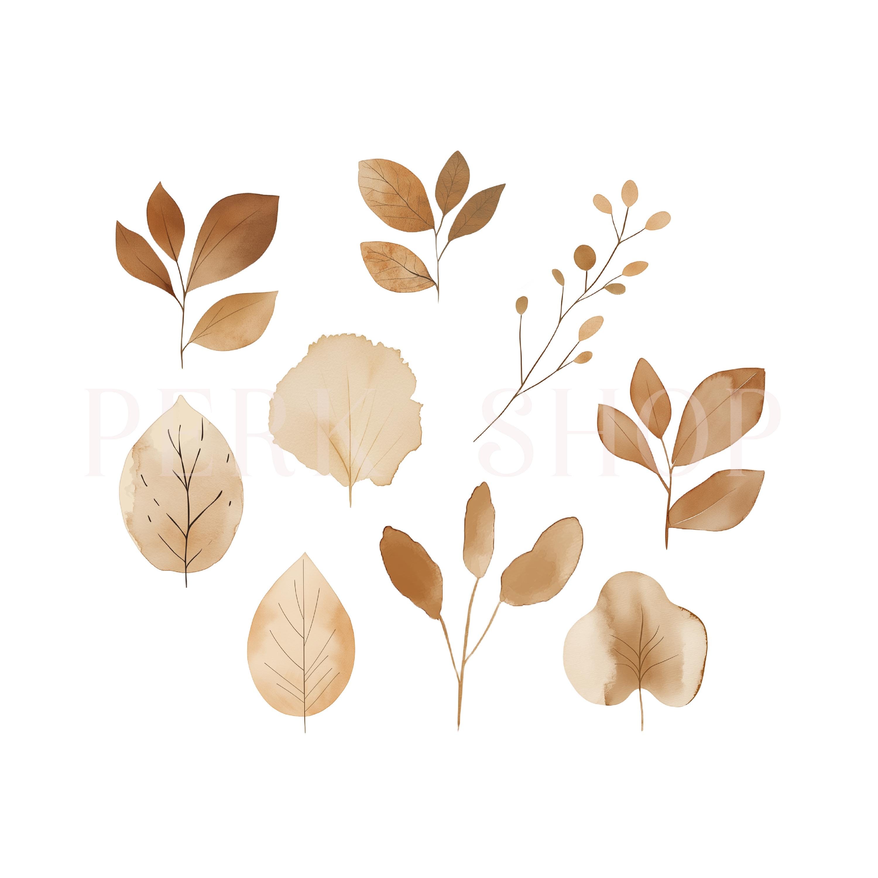 21 Neutral Watercolor Foliage PNG Clipart Elements, Soft Earth Tone ...