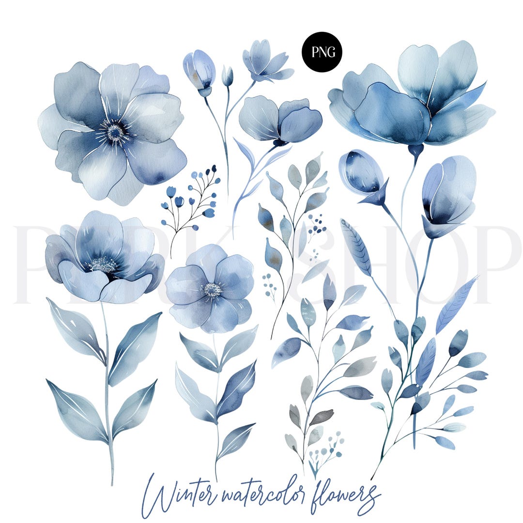 12 PNG Watercolor Winter Abstract Flowers Clipart, Printable Wildflower ...