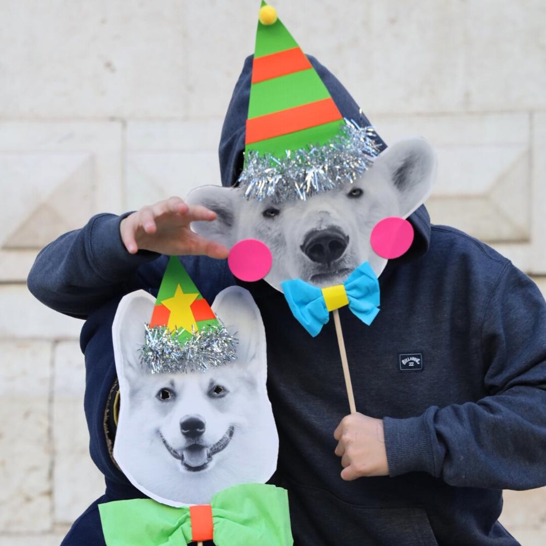 Carnival Animal Masks, DIY Animal Mask Templates, Printable Carnival ...