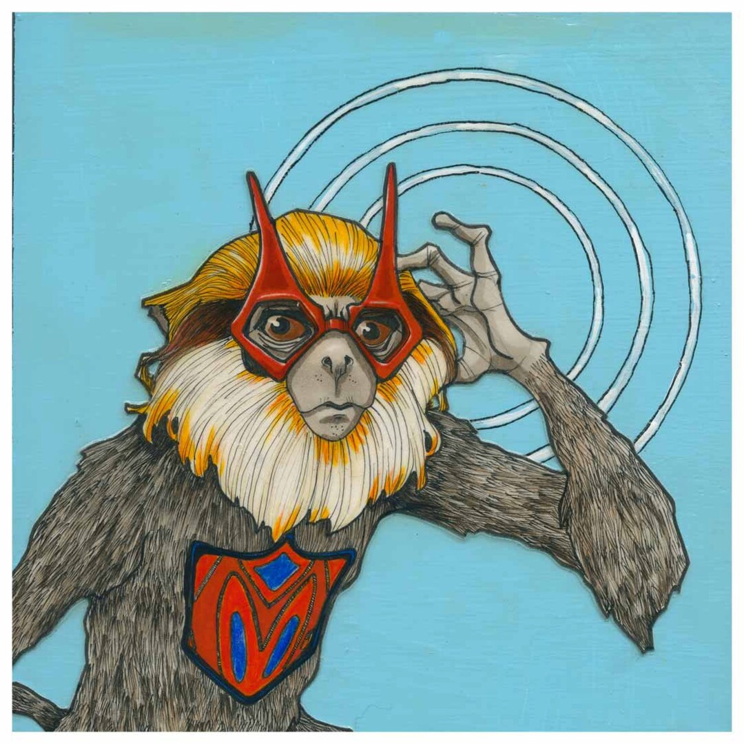 Mega Monkey Small Print 4.5x4.5 - Etsy