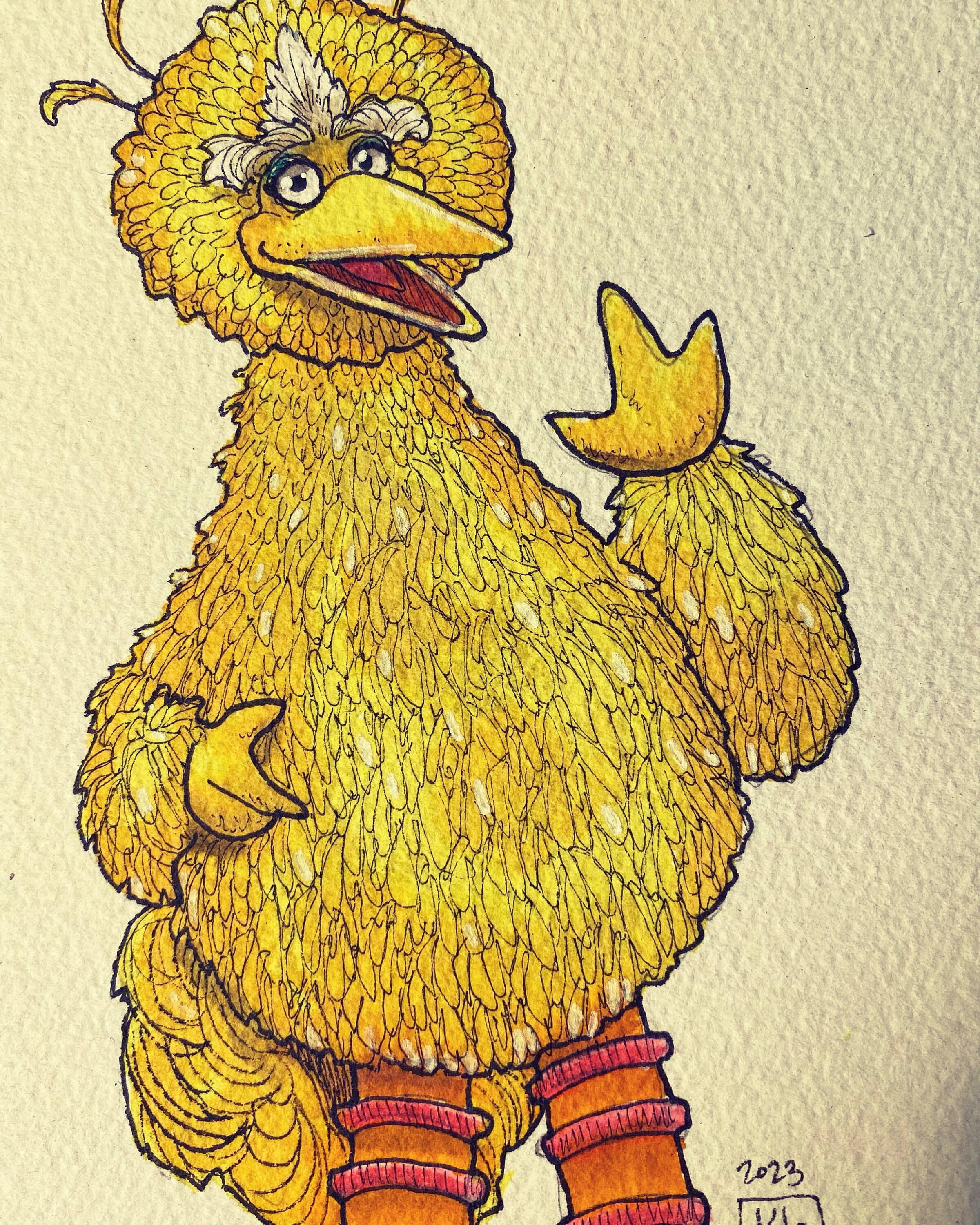 Big Bird Drawing