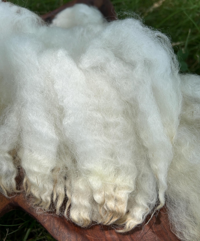 Romney Locks, Washed Wool Fiber, "jane", White, 1 Oz., 4" Staple, Free ...