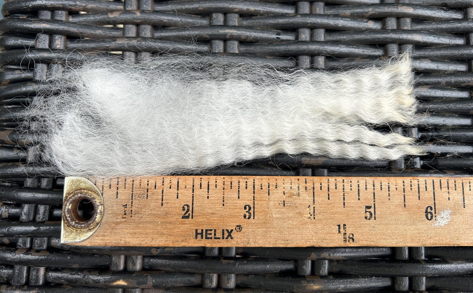 Romney Ewe Fleece Locks, WASHED, White "petunia" 1 Oz , 4.5 - 6" Staple ...