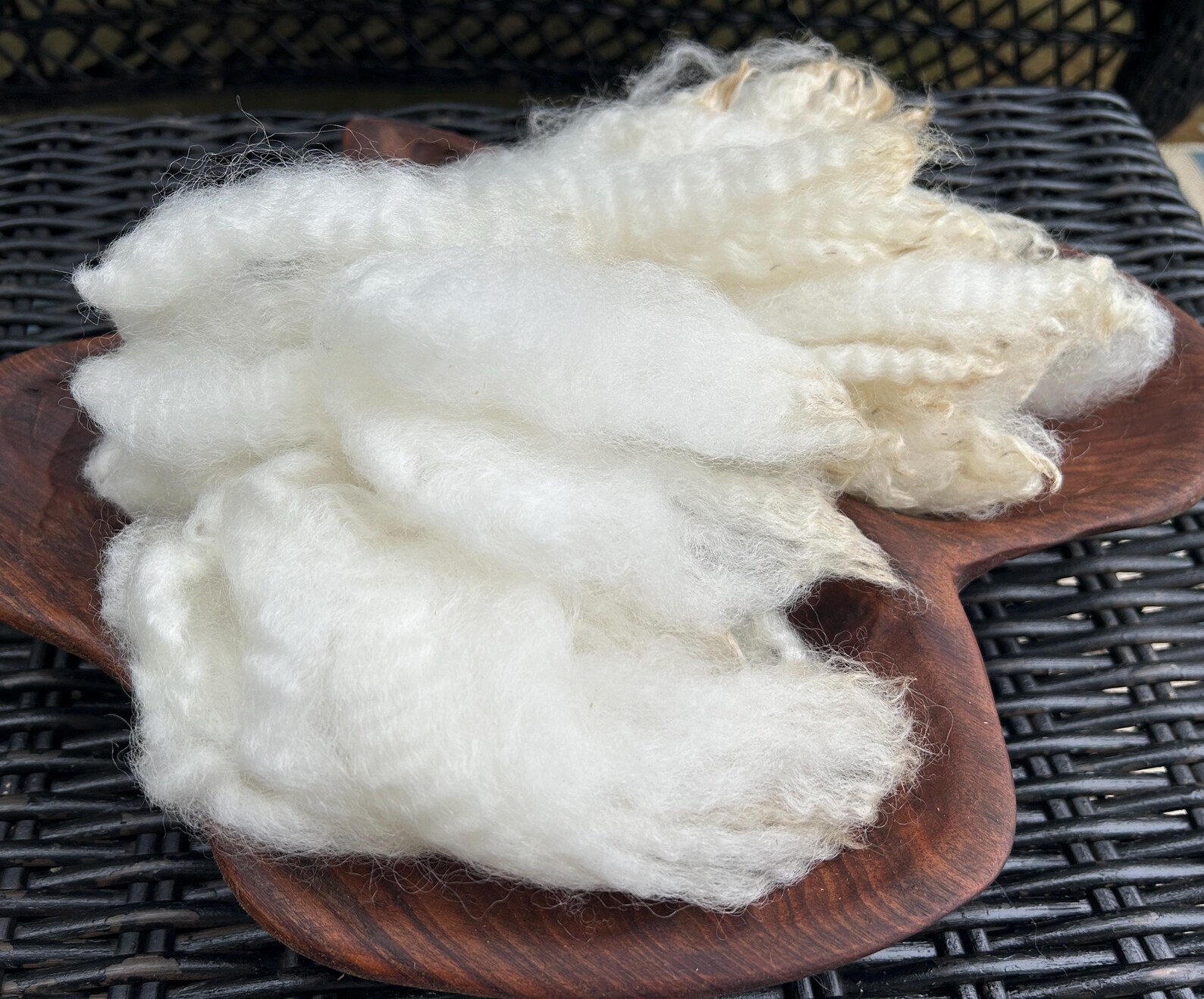 Romney Ewe Fleece Locks, WASHED, White "petunia" 1 Oz , 4.5 - 6" Staple ...