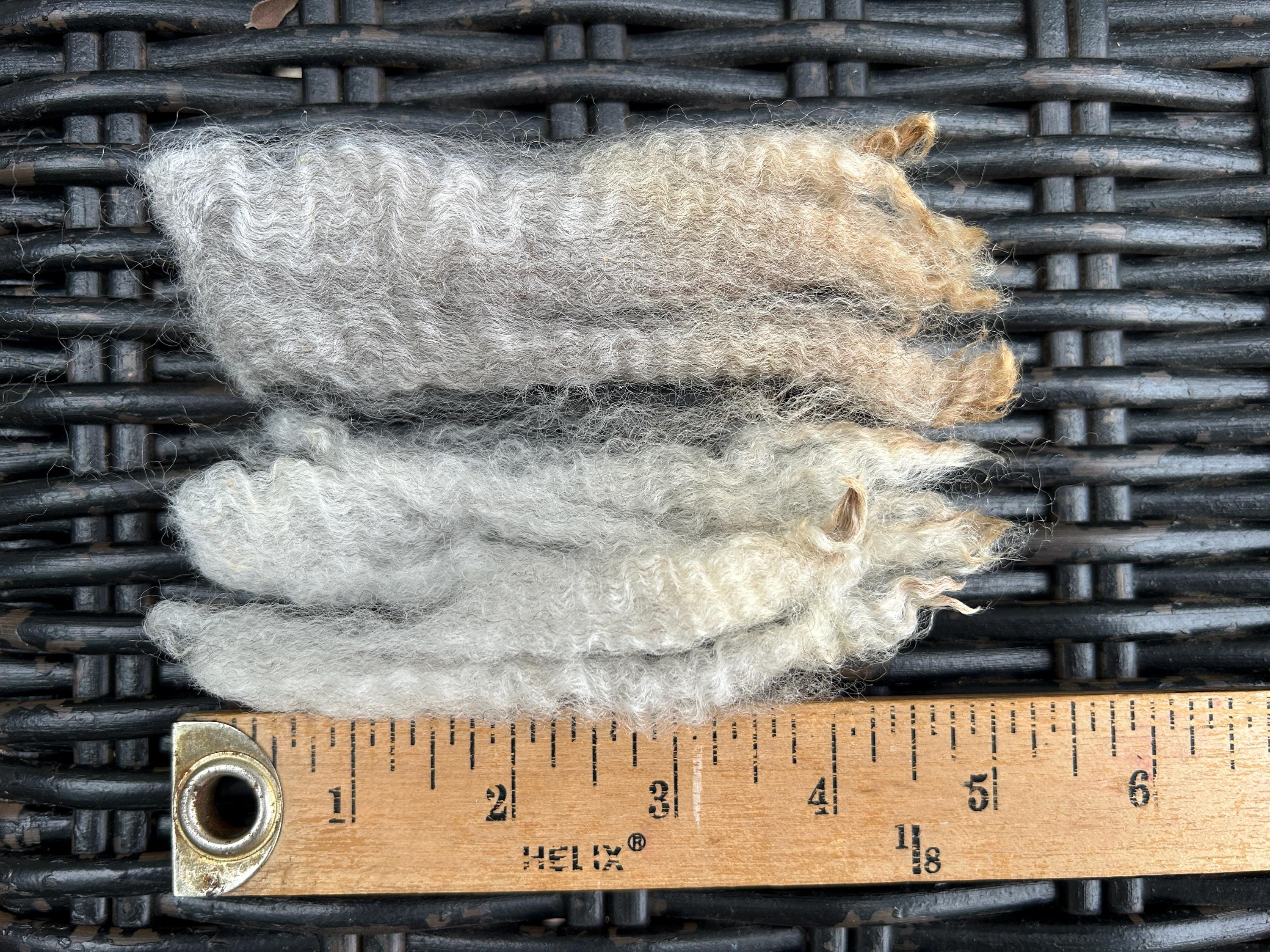 Romney Ewe Fleece Locks, WASHED, Natural Color "lucy" 1 Oz , Free ...