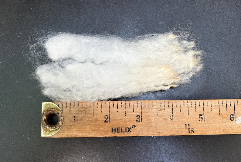 Romney Locks, Washed Wool Fiber, "jane", White, 1 Oz., 4" Staple, Free ...