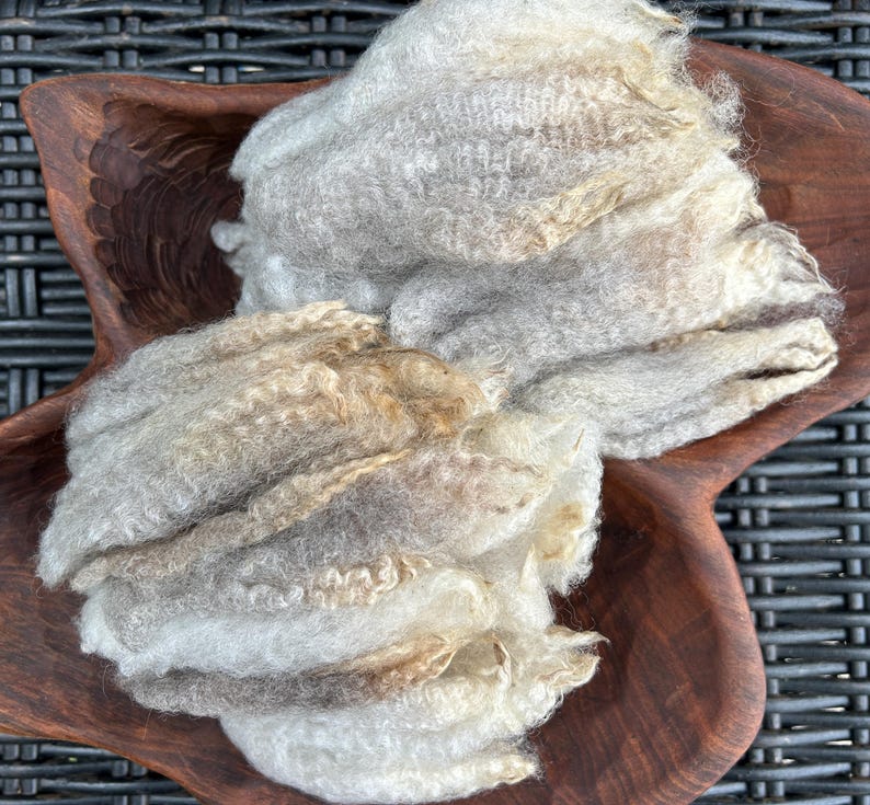 Romney Ewe Fleece Locks, WASHED, Natural Color "lucy" 1 Oz , Free ...