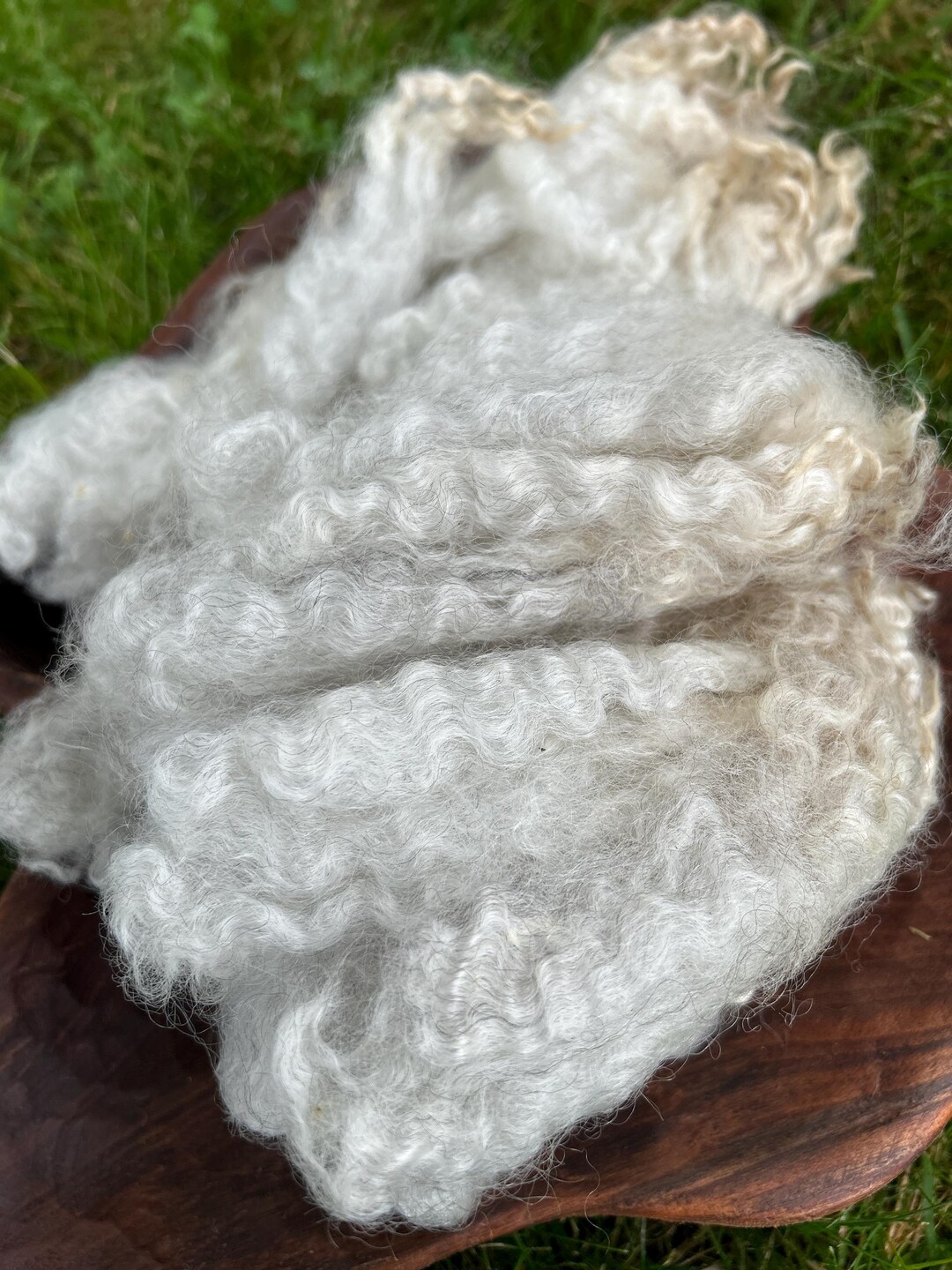 Romney Ewe Fleece Locks "panni", WASHED, Natural Colored, 5" - 6 ...