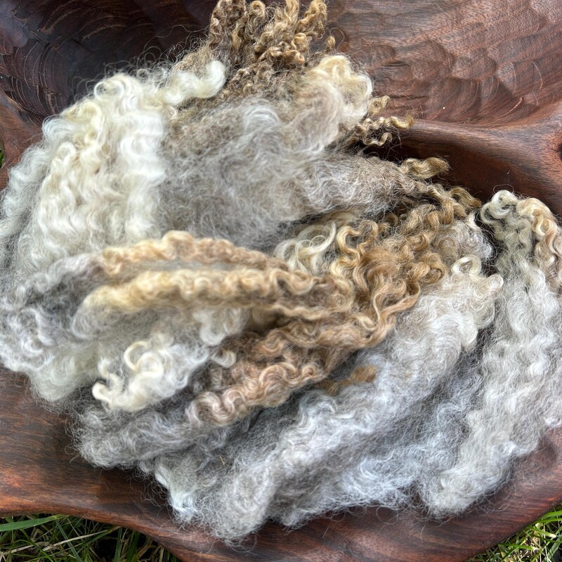 Curly Wool Yarn - Etsy