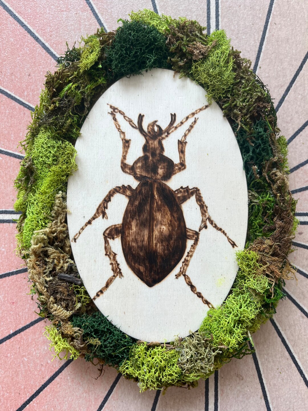Betty the Beetle Wood Burning - Etsy