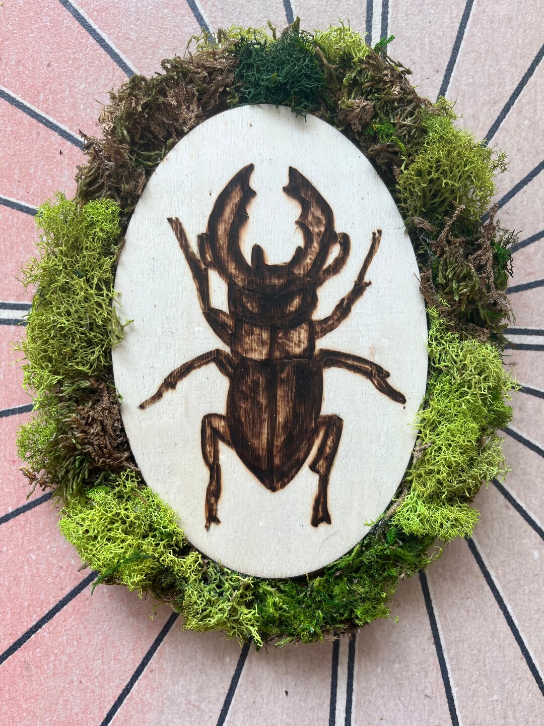 Bob the Beetle Wood Burning - Etsy