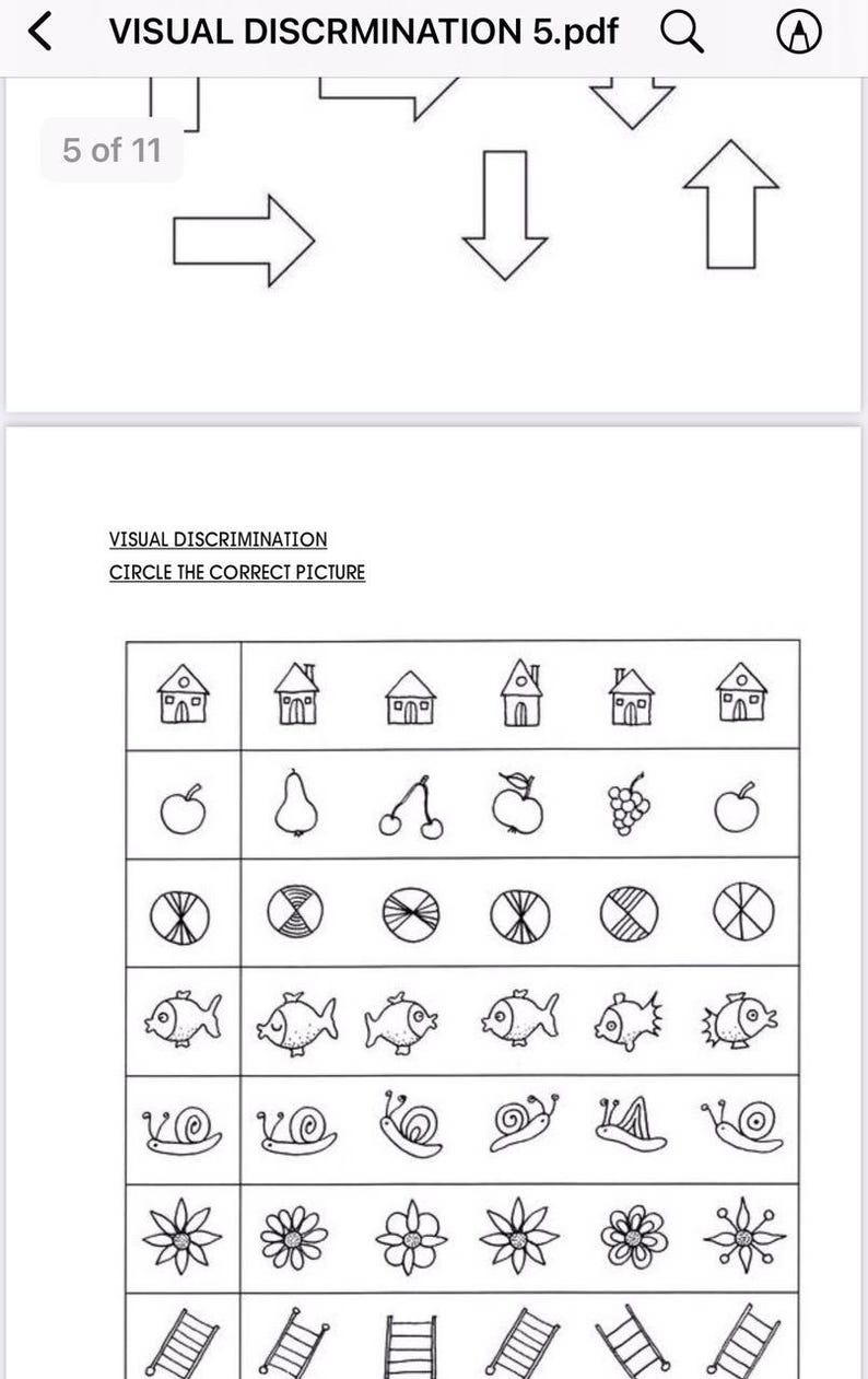 Visual Exercise, Visual Discrimination. - Etsy