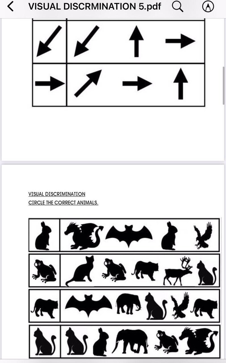 Visual Exercise, Visual Discrimination. - Etsy