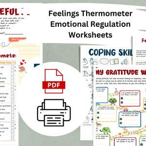 Feelings Thermometer & Emotional Regulation Worksheets - Etsy