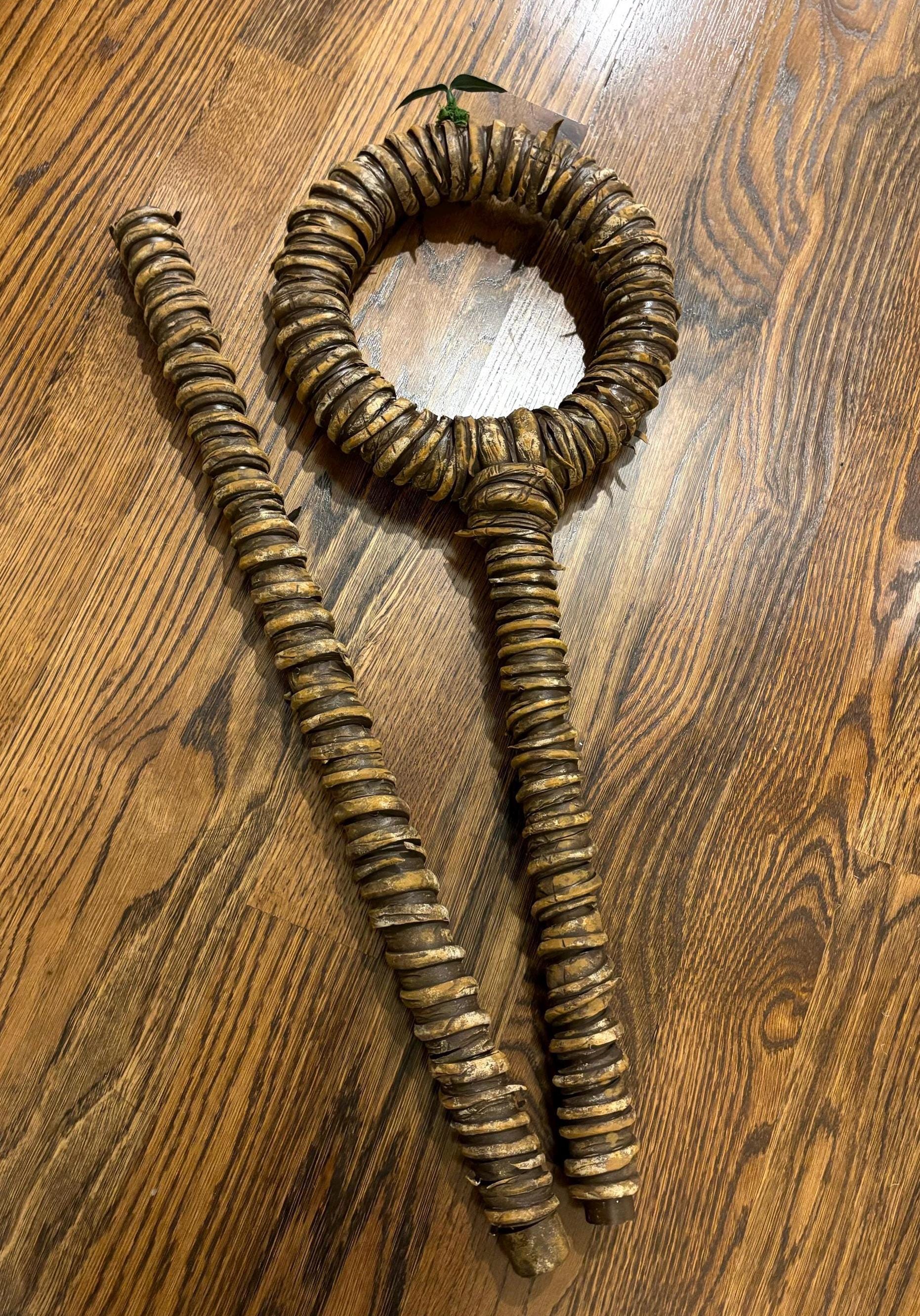 Marcille Staff Delicious in Dungeon/dungeon Meshi - Handmade Twisted ...