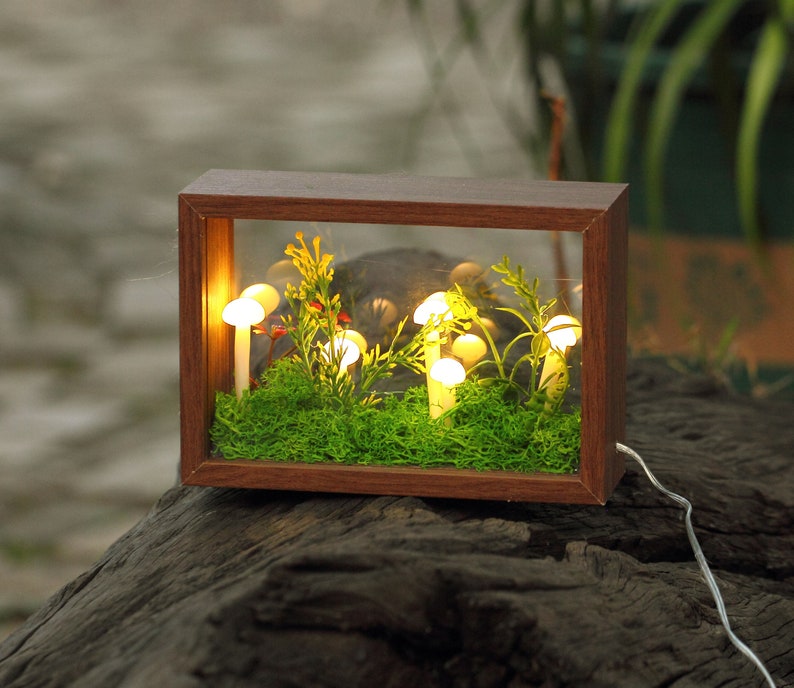 Special Art Frame Light, Forest Frame, Mushroom Light , Shadow Box ...