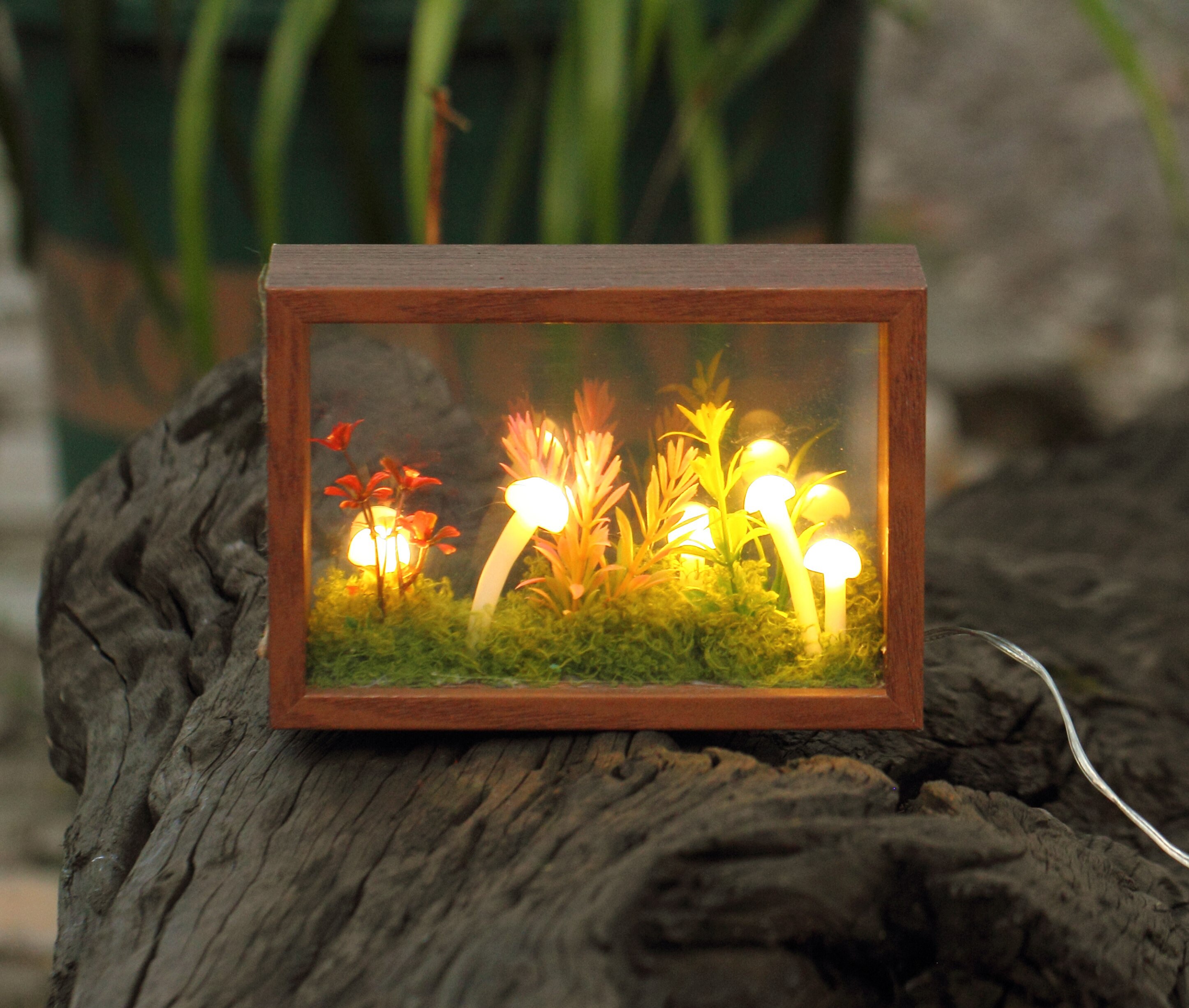 Special Art Frame Light, Forest Frame, Mushroom Light , Shadow Box ...